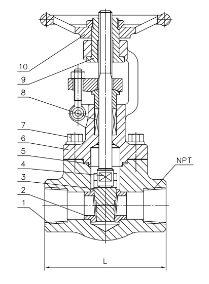 Class 800 Forged Steel Gate Valve